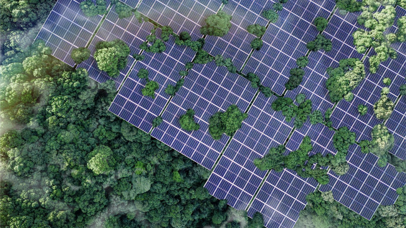 Concord New Energy Group Ltd