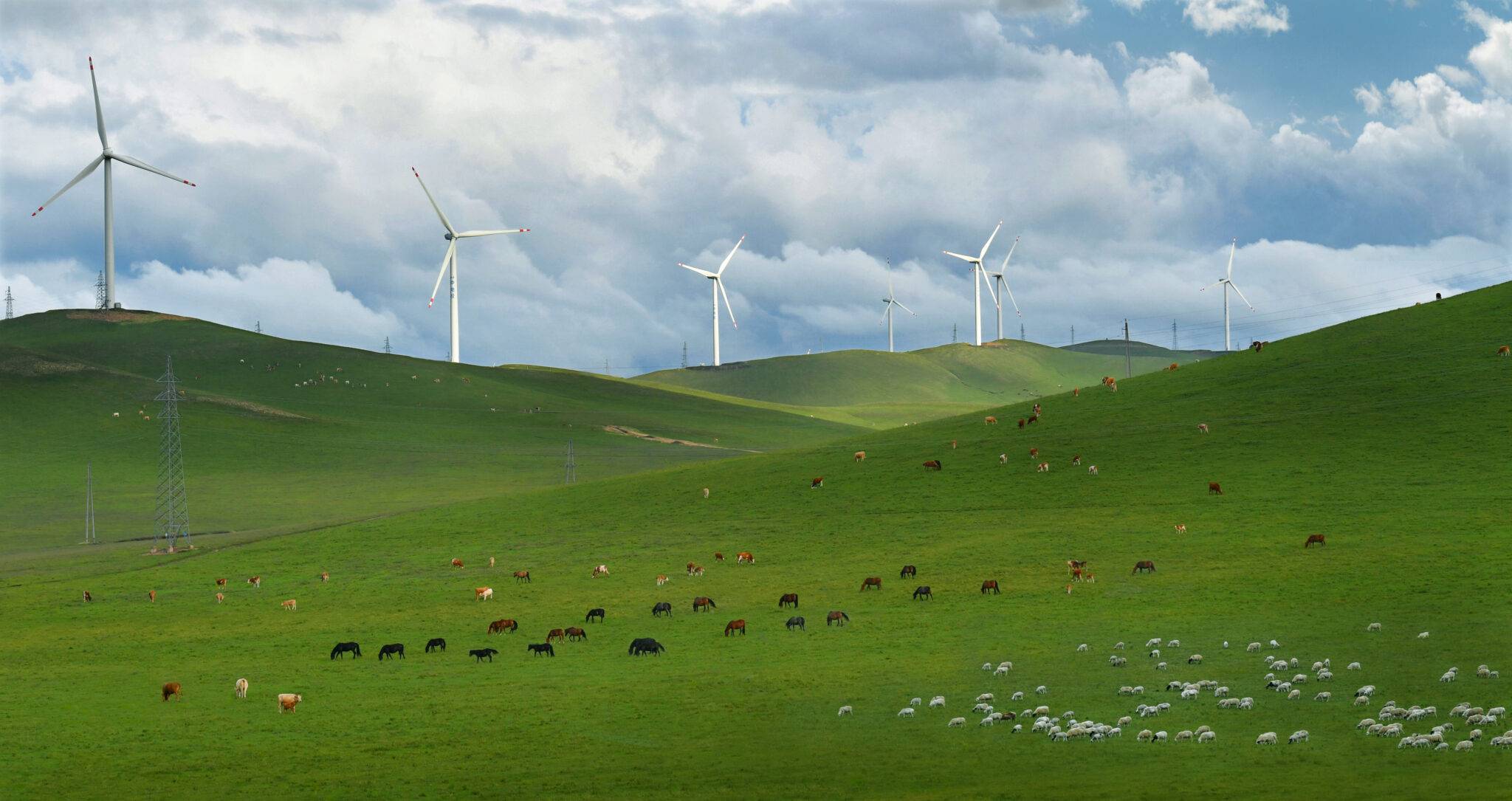 Concord New Energy Group Ltd